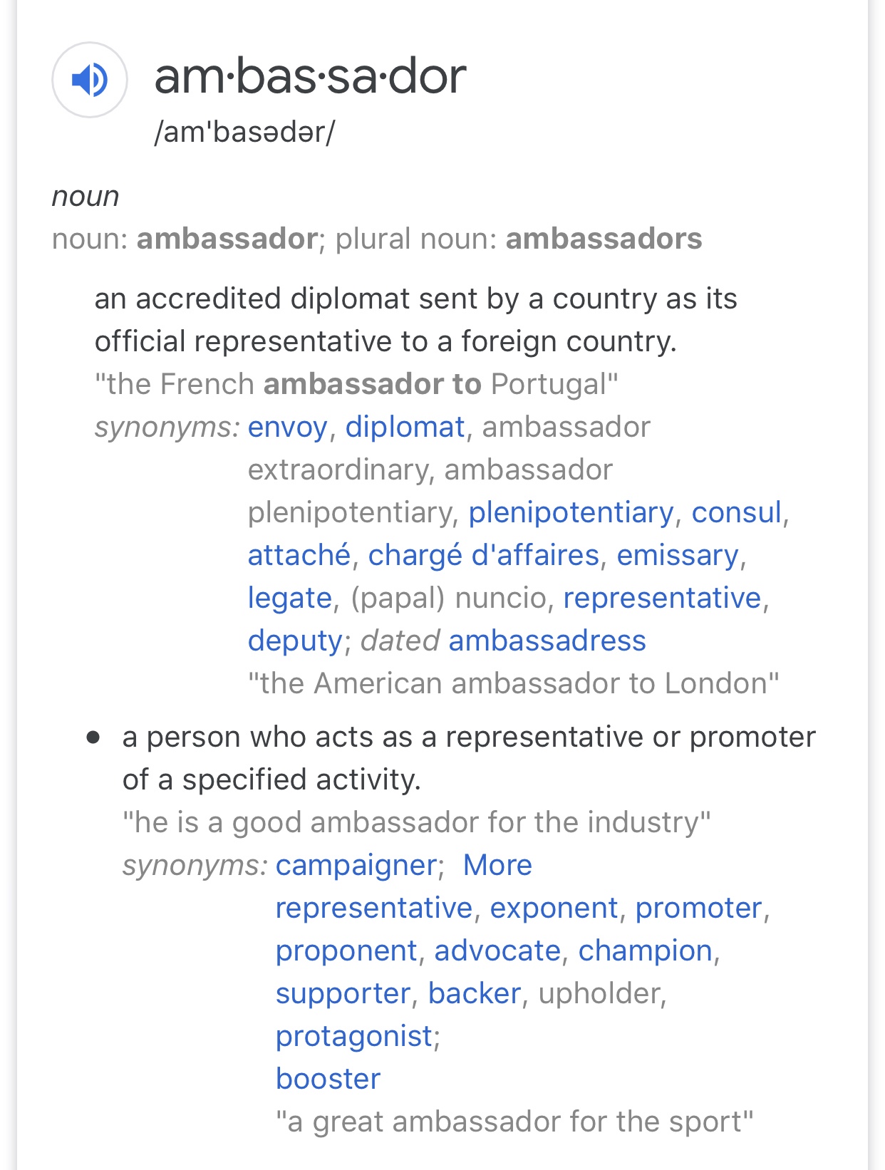 Ambassadors – Not Your Season: Summer's Blog